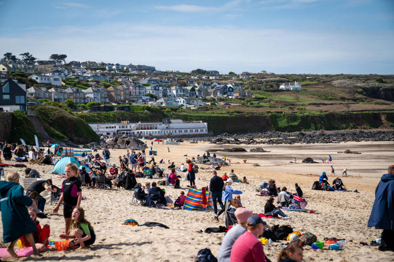 Manhunt after tourist grabbed seagull and punched it close to death in ...