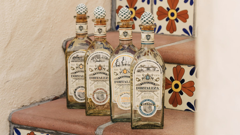 The 12 best tequila brands you might not have heard of
