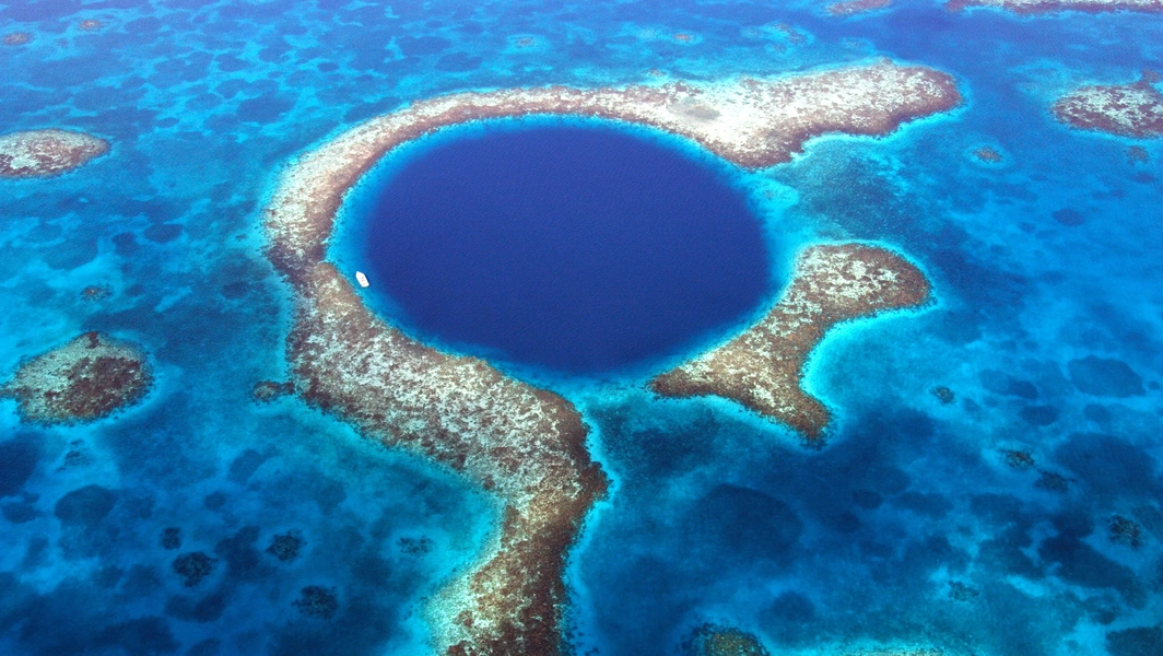 Divers uncover thriving marine life in mysterious blue holes