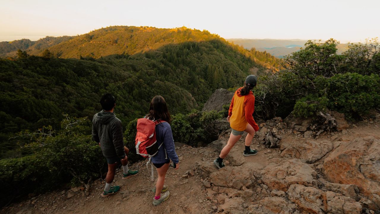 Strava adds new hiking tools for Premium users (and a Maps upgrade for ...