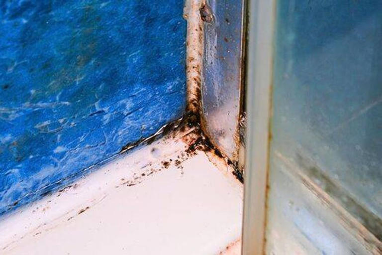 One common kitchen item will easily remove mould from tricky bathroom spots