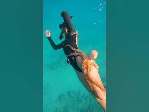 Bro got to touch both octopuses - Caught on camera