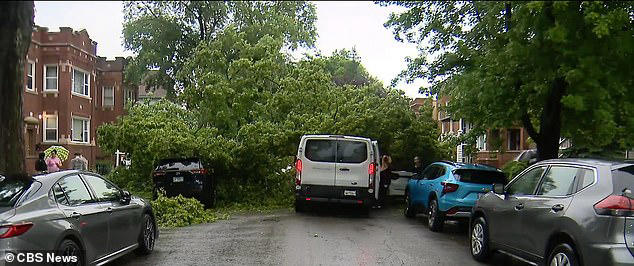 Van filled with children, driving from Chicago hospital, crushed by ...