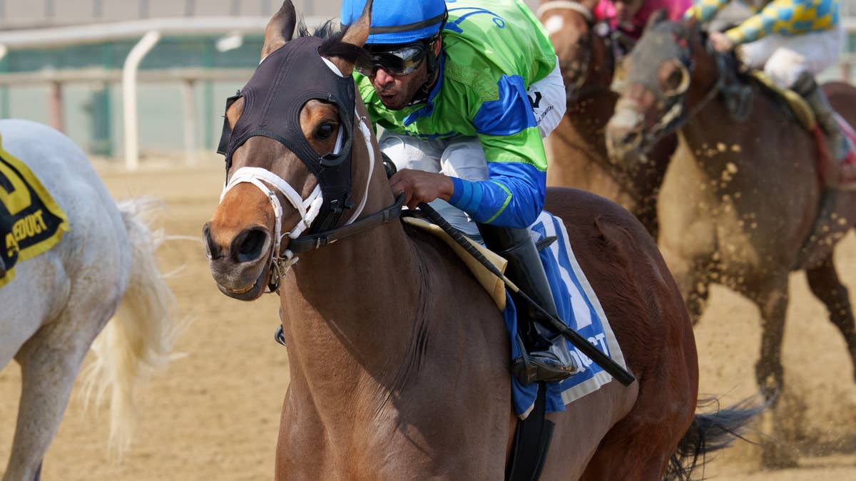 Full moon madness seeks return to winning form in Alapocas Run