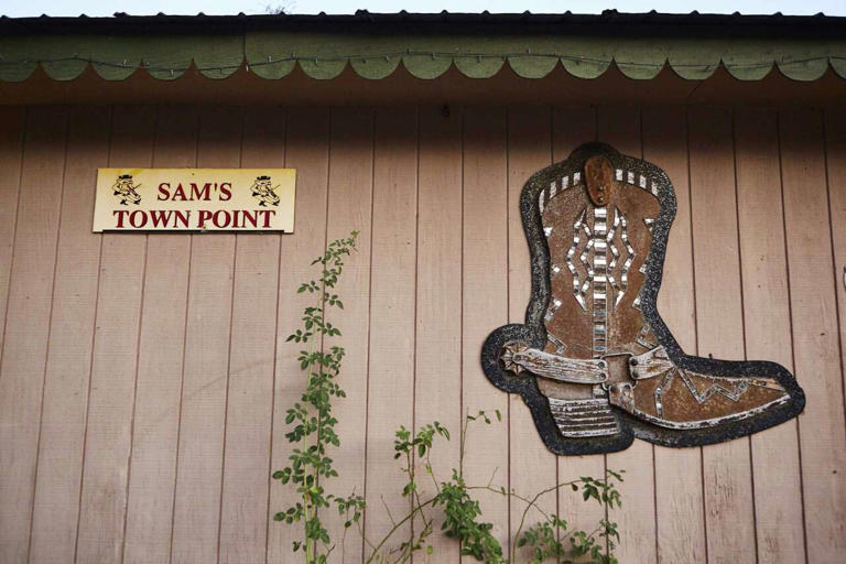 'Super Secret AI Bee' is stirring buzz at Sam's Town Point in South Austin
