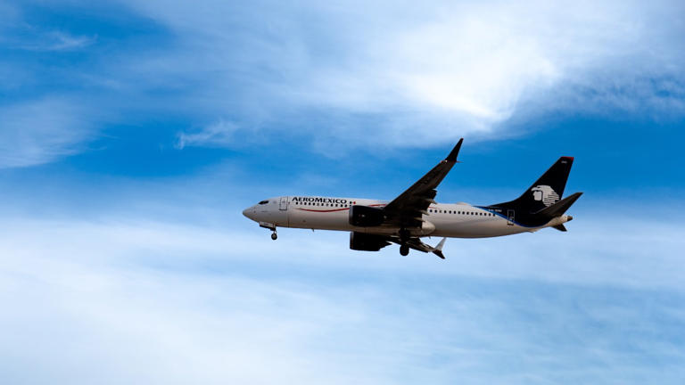 A wave of fresh breaches hit healthcare and aviation companies in a ...