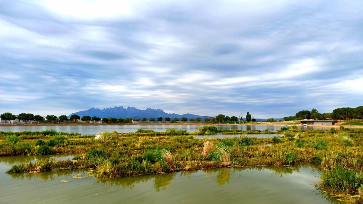 Montserrat desde el Parc de l'Agulla