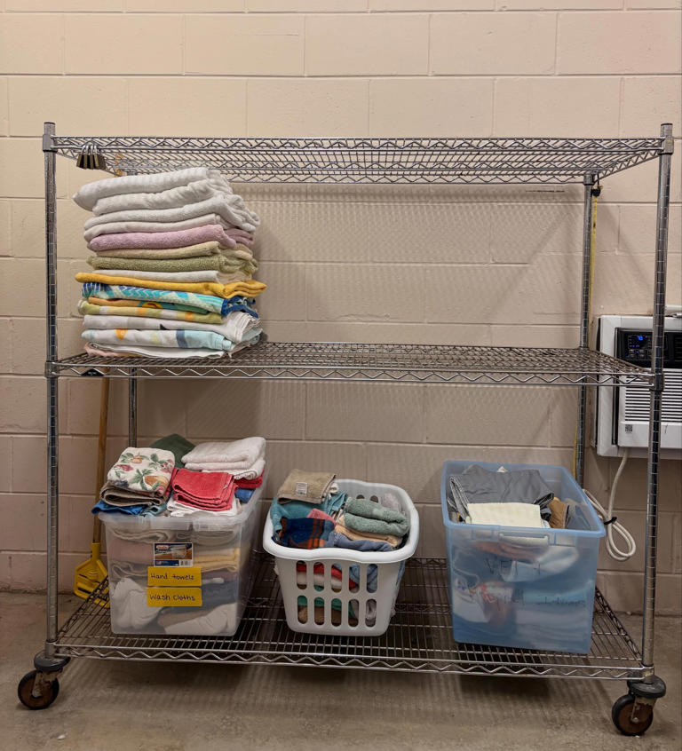 Seminole County Animal Services seeks towel donations for shelter pets