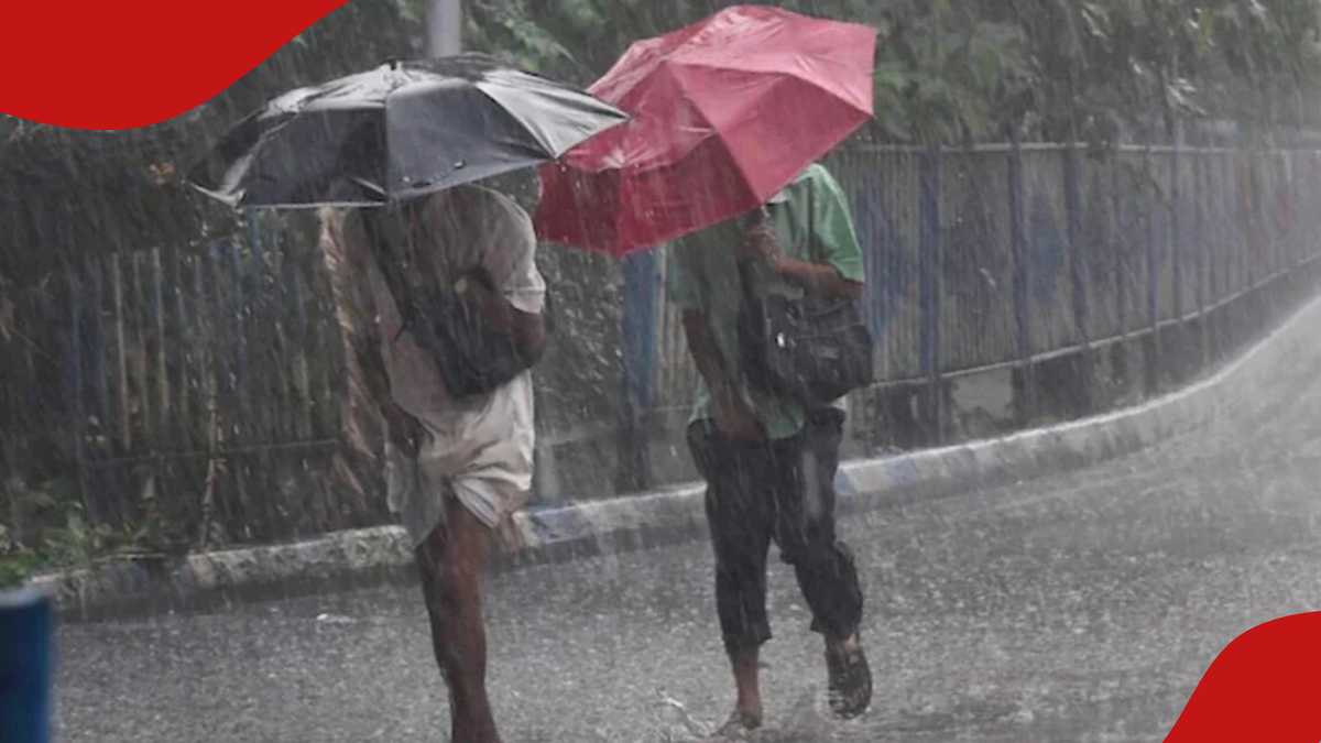 Kenya Met warns of showers, thunderstorms and strong winds in latest 24 ...