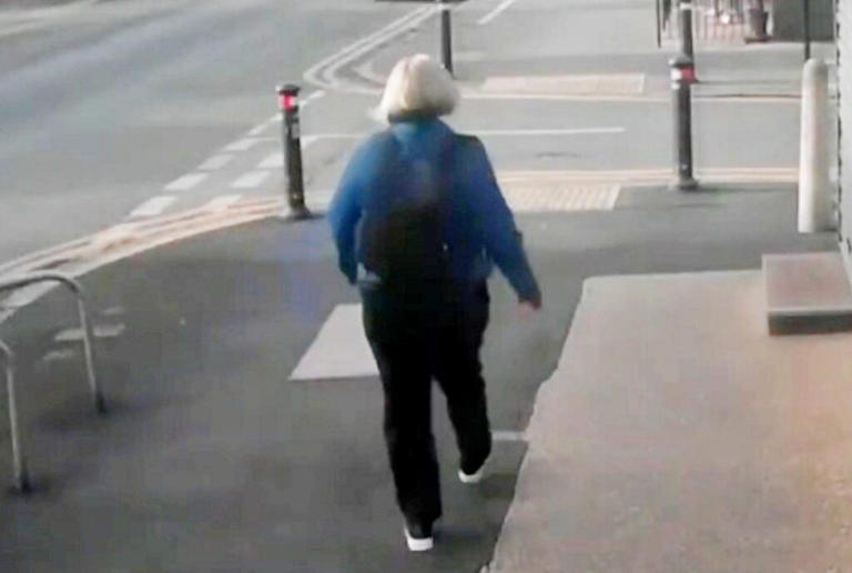 Moment man runs over innocent woman before baseball bat attack