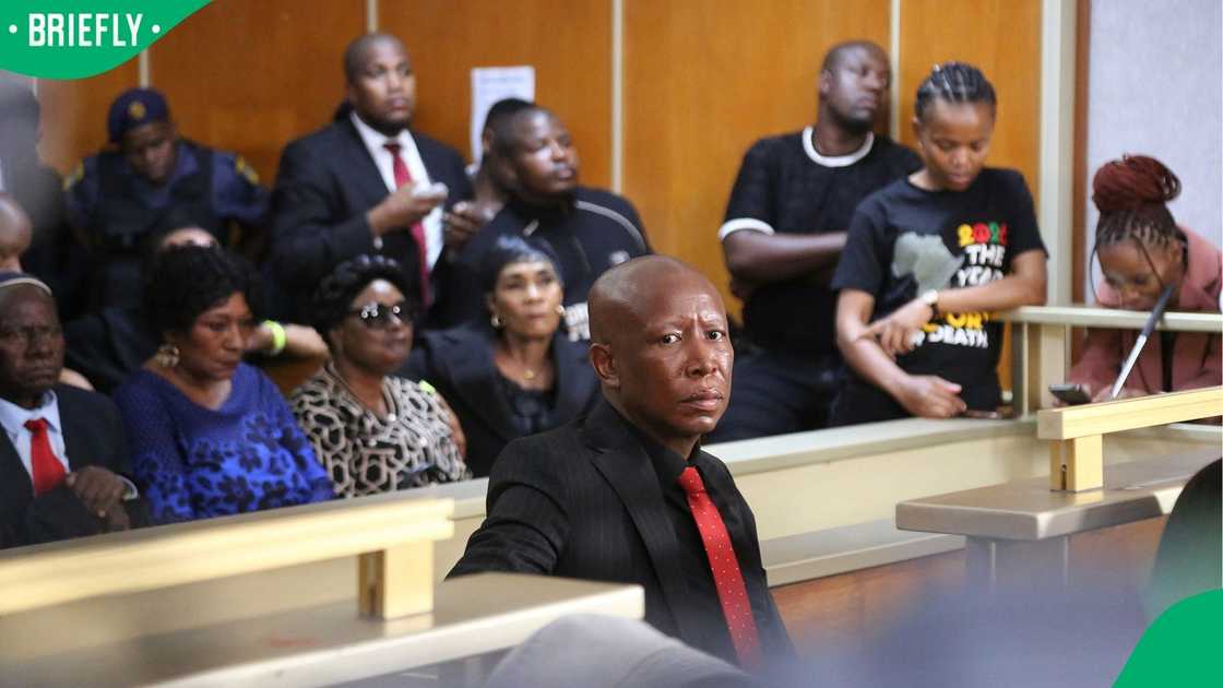 State dismisses Malema's legal challenge as absurd as EFF leader seeks ...