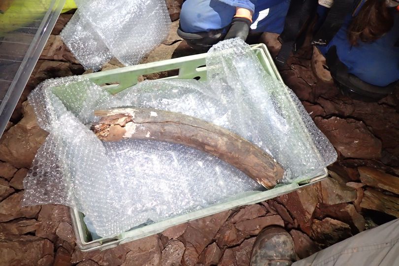 Rare burial site with human bones uncovered in Sherford