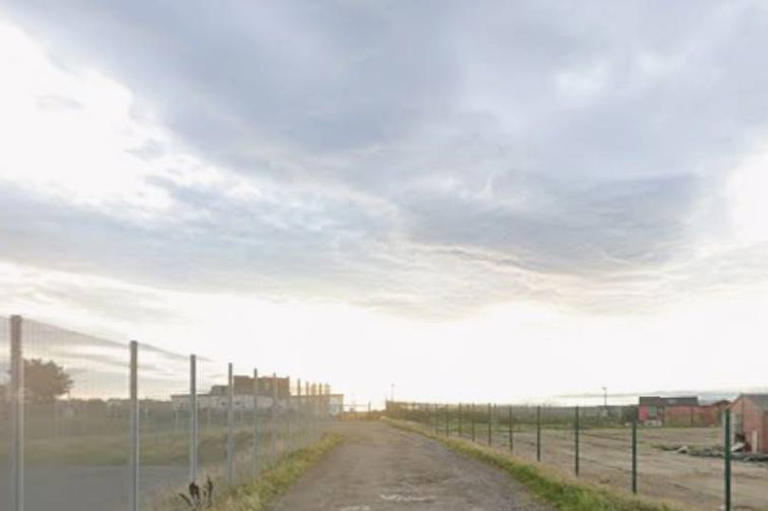 Solar panels planned for kittiwake nesting site at Hartlepool car park