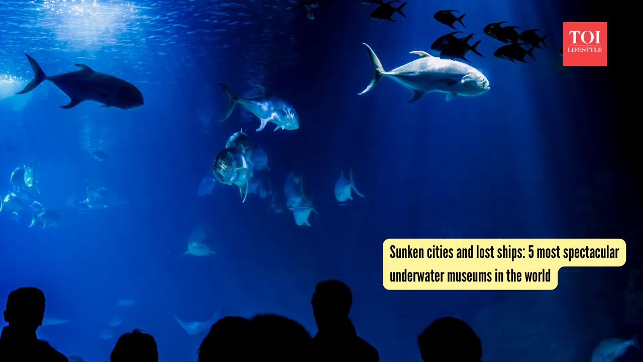 Sunken cities and lost ships: 5 most spectacular underwater museums in ...