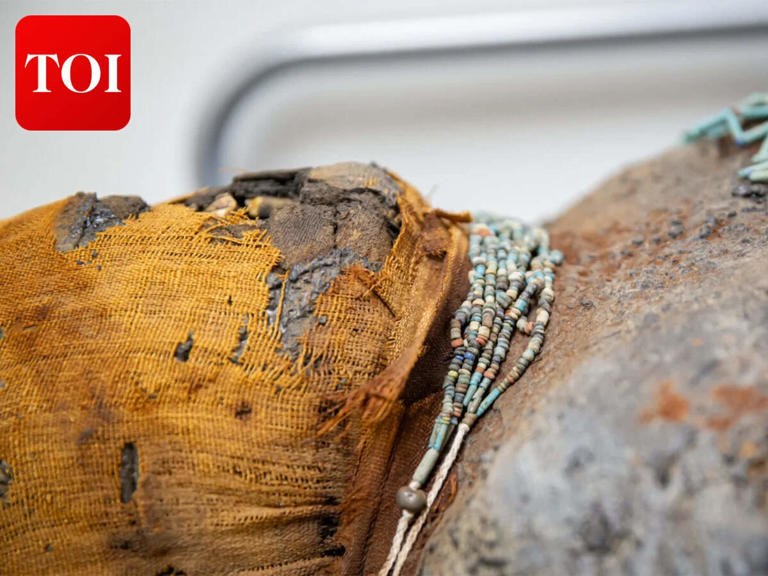 Two Egyptian mummies scanned in LA revealed a possible ancient spinal ...