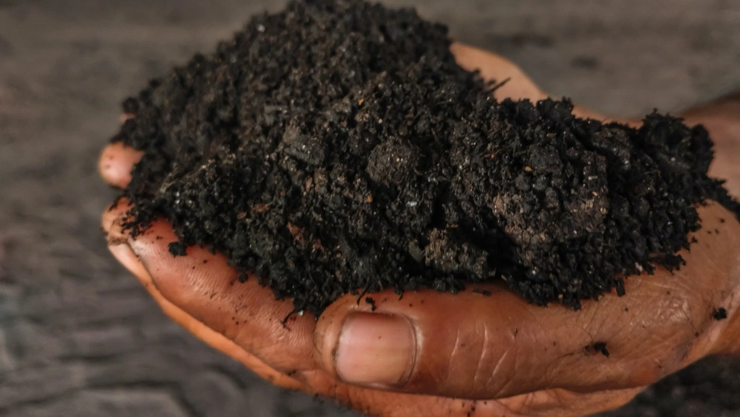Experts promote in-place composting and pollinator planting