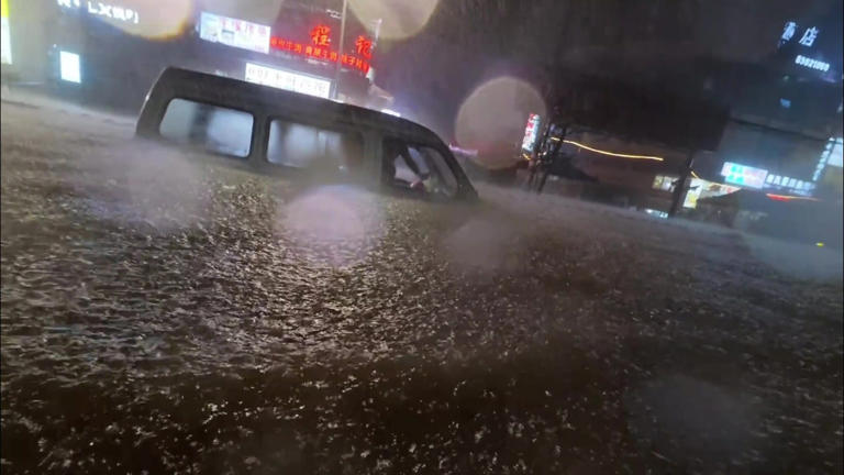 Hero police officers rescue driver trapped in submerged car during ...