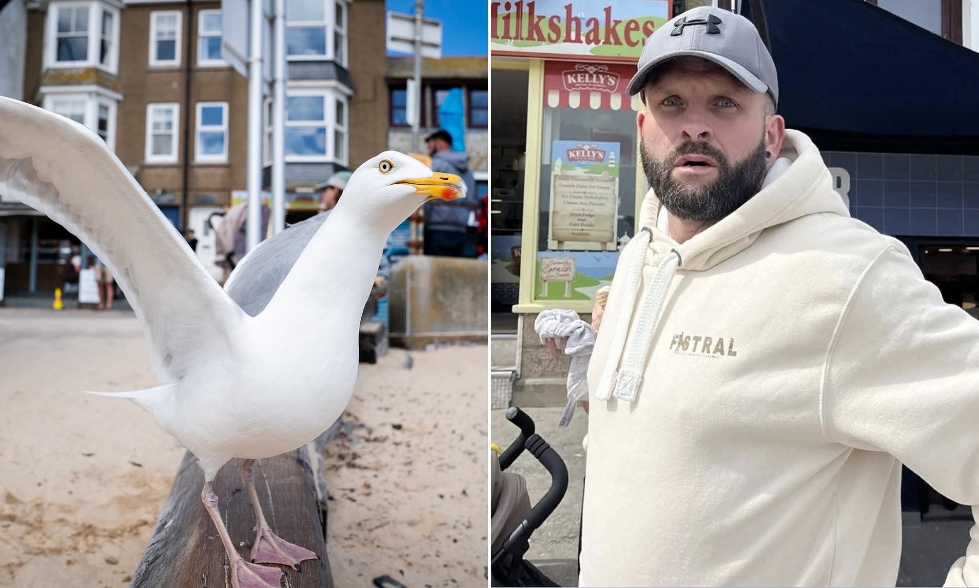 Holidaymaker 'grabbed seagull out of the air and punched it to death ...
