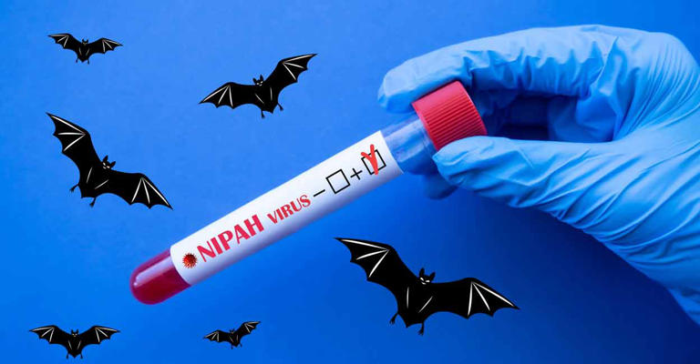 NIV Pune confirms Nipah infection in Kozhikode patient, condition critical