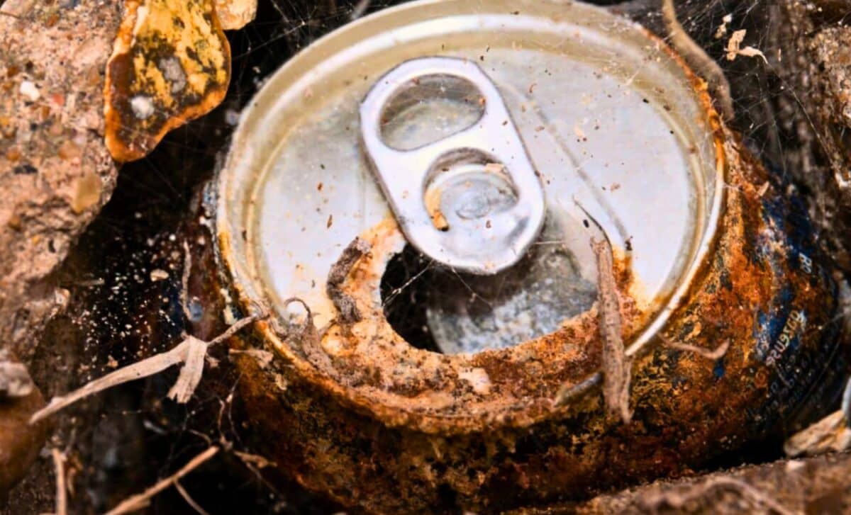 Two hikers found a rusted can in a forest packed with nearly 600 gold ...