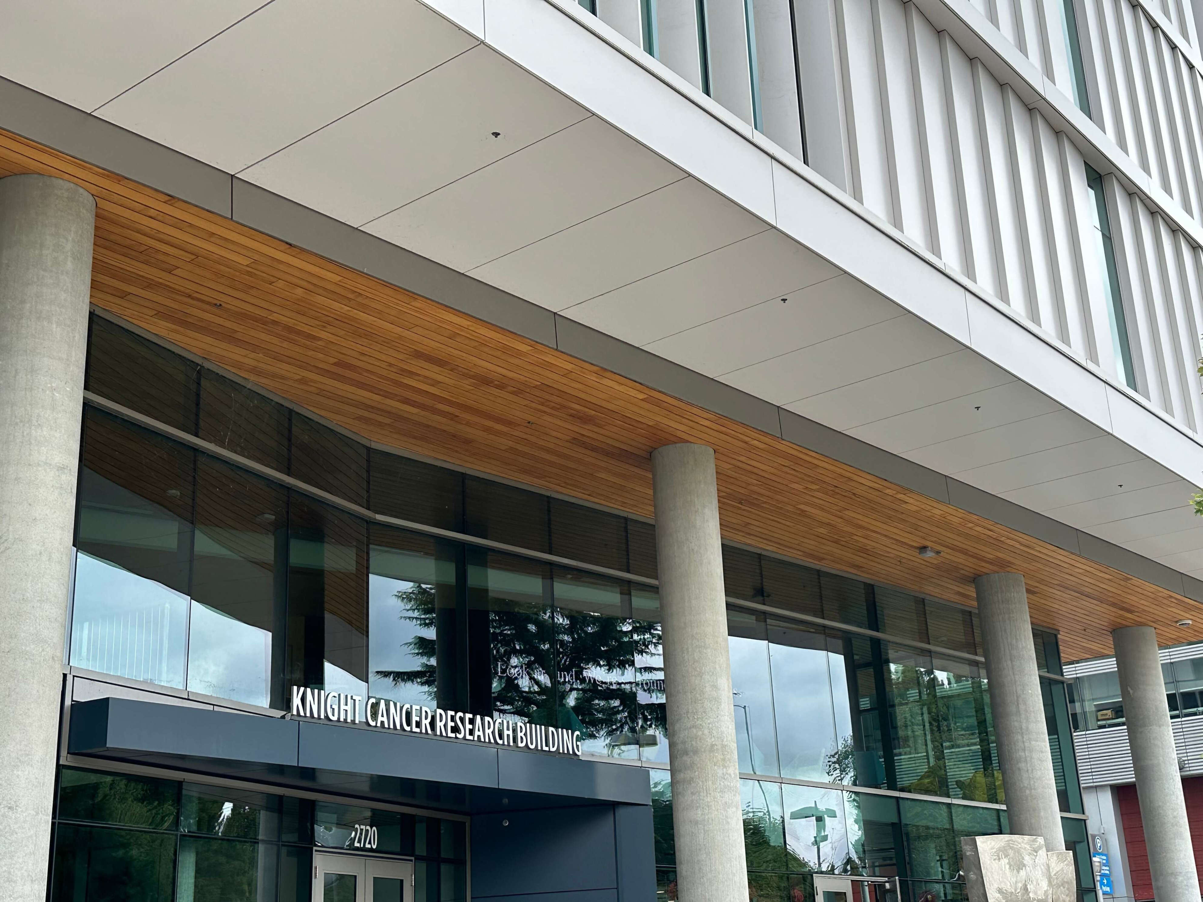 Scammers hijacked the identity of a famous Oregon cancer doctor to ...