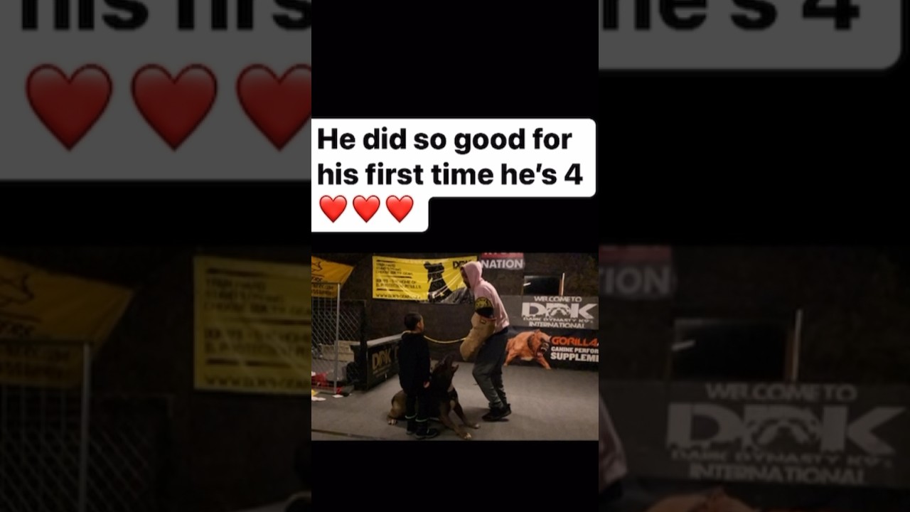 A 4-year-old trains alongside a protection dog