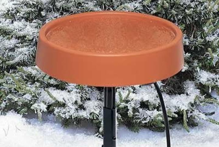 10 top-rated bird baths perfect for every season and species