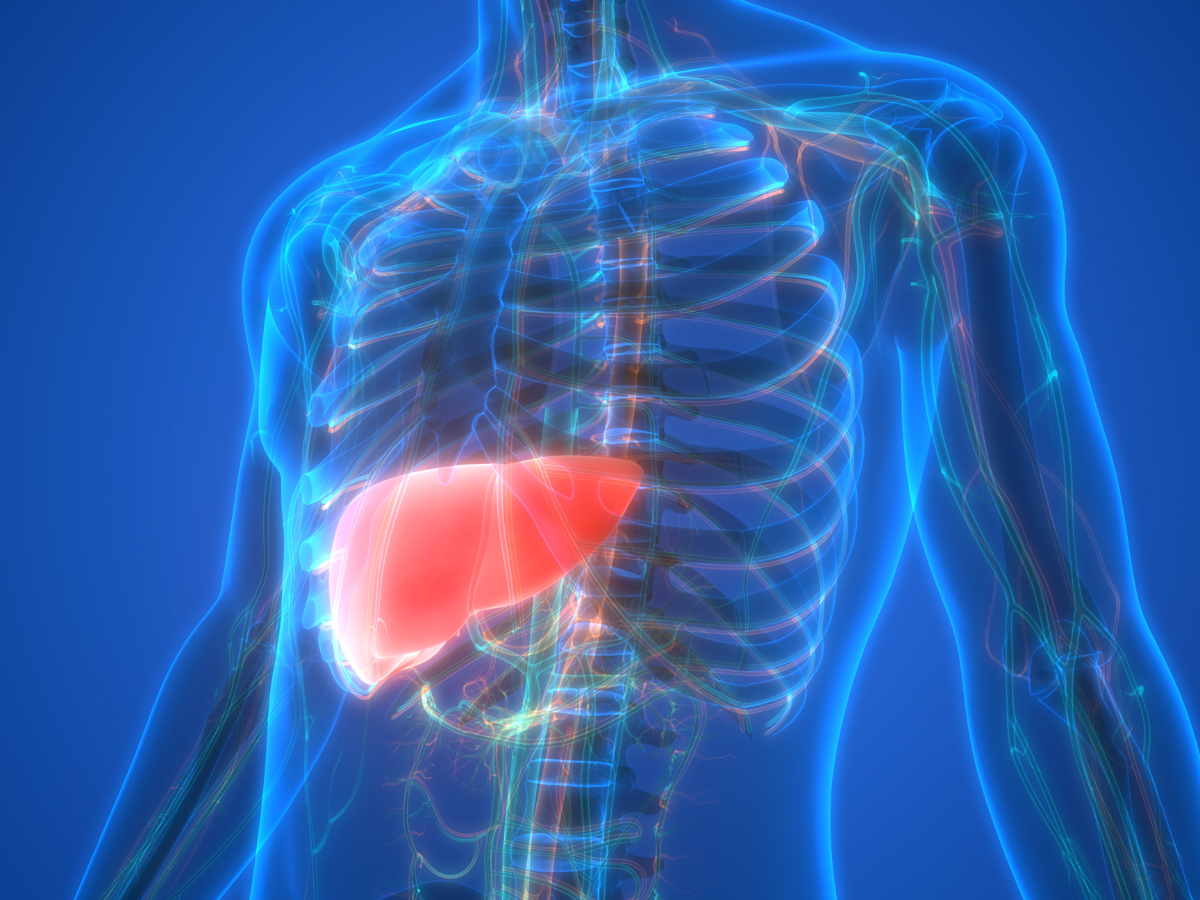Fatty liver: How to protect your body's biochemical powerhouse