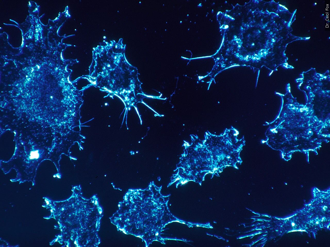 Health first: Expanding access to cancer treatment in SENC