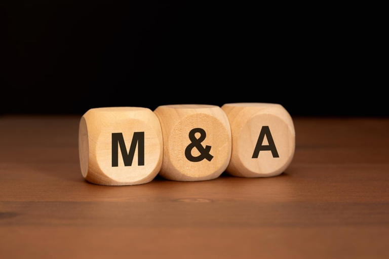 Fewer deals, higher stakes: M&A trend is mirroring the equity market