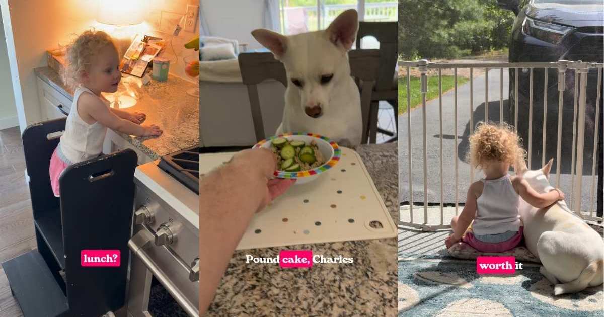 Deaf rescue dog understands dad's gesture to sit close to little girl ...
