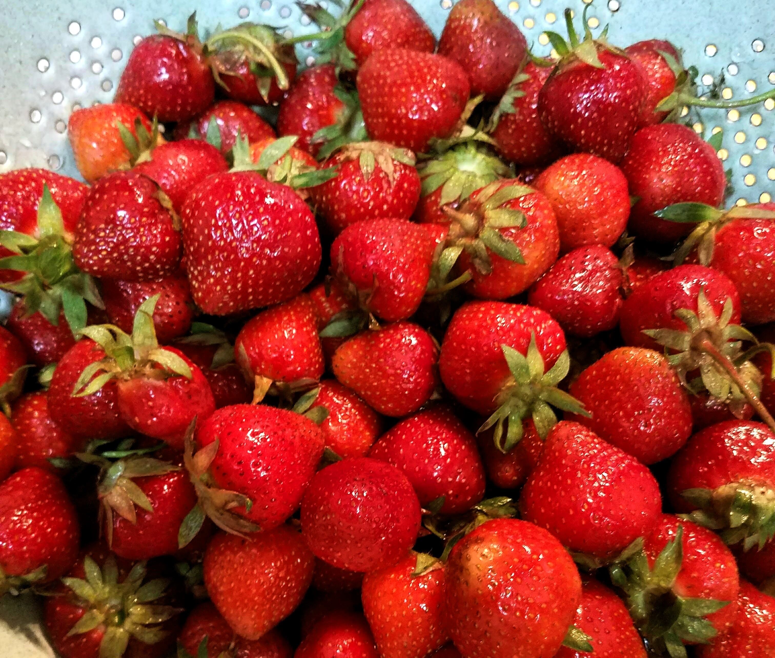 Why local strawberries taste better