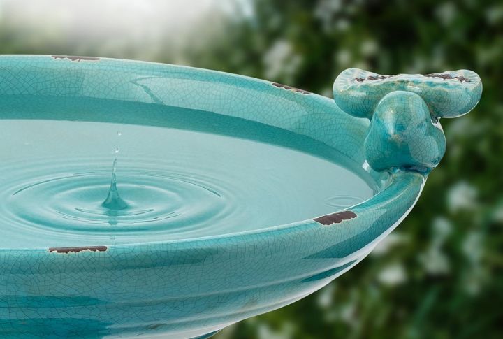 10 top-rated bird baths perfect for every season and species