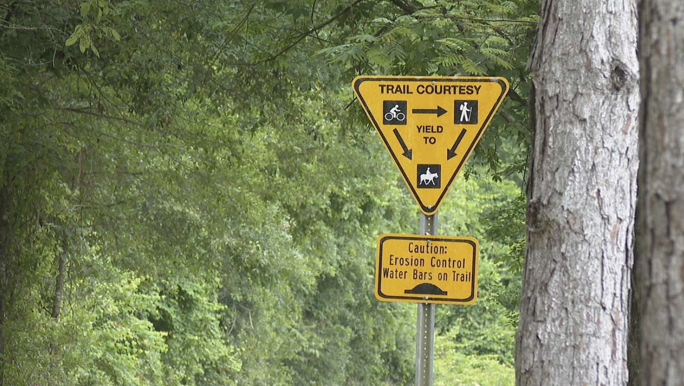 Leon County is building a stormwater model to pinpoint what caused the ...