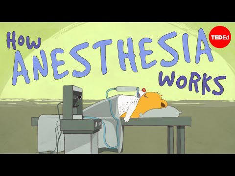Startling brain activity under anesthesia challenges our understanding ...
