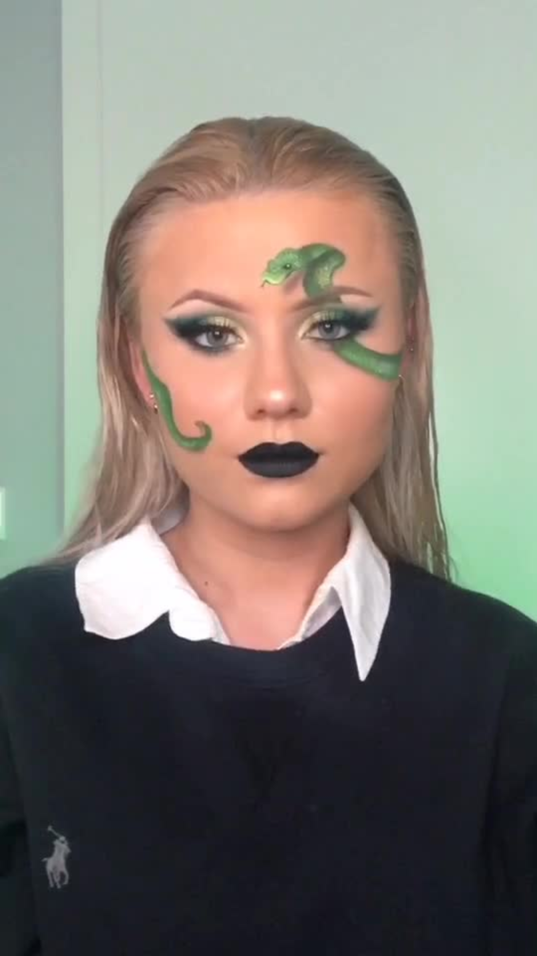 Quick look at Hogwarts houses as fun and magical makeup