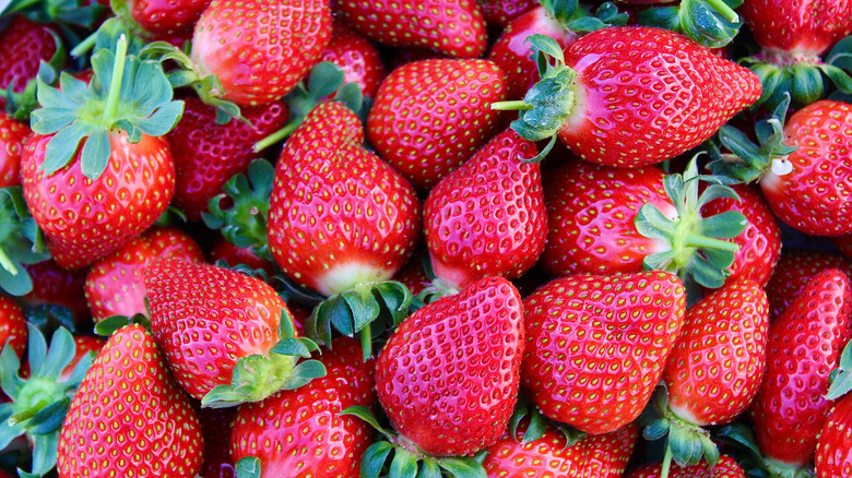 13 mistakes everyone makes when buying strawberries