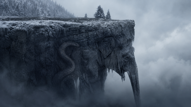 Snake or elephant first? What this viral illusion says about you