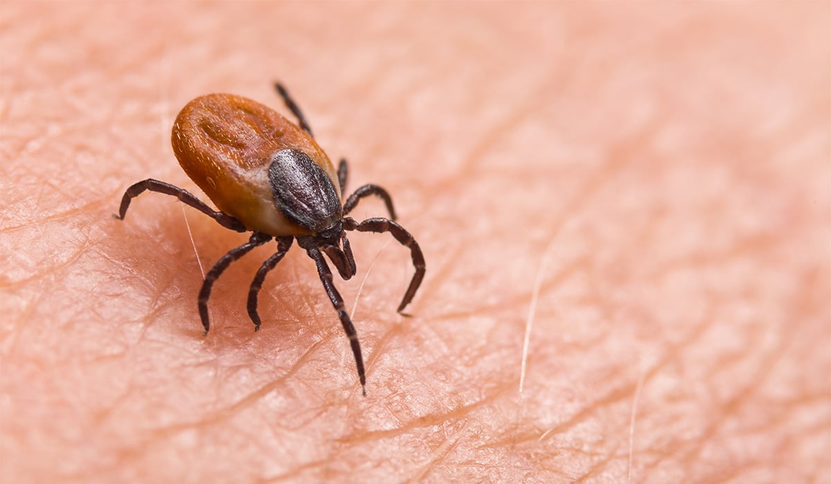 Residents of celebrity hotspot hit with urgent warnings as 'highly ...