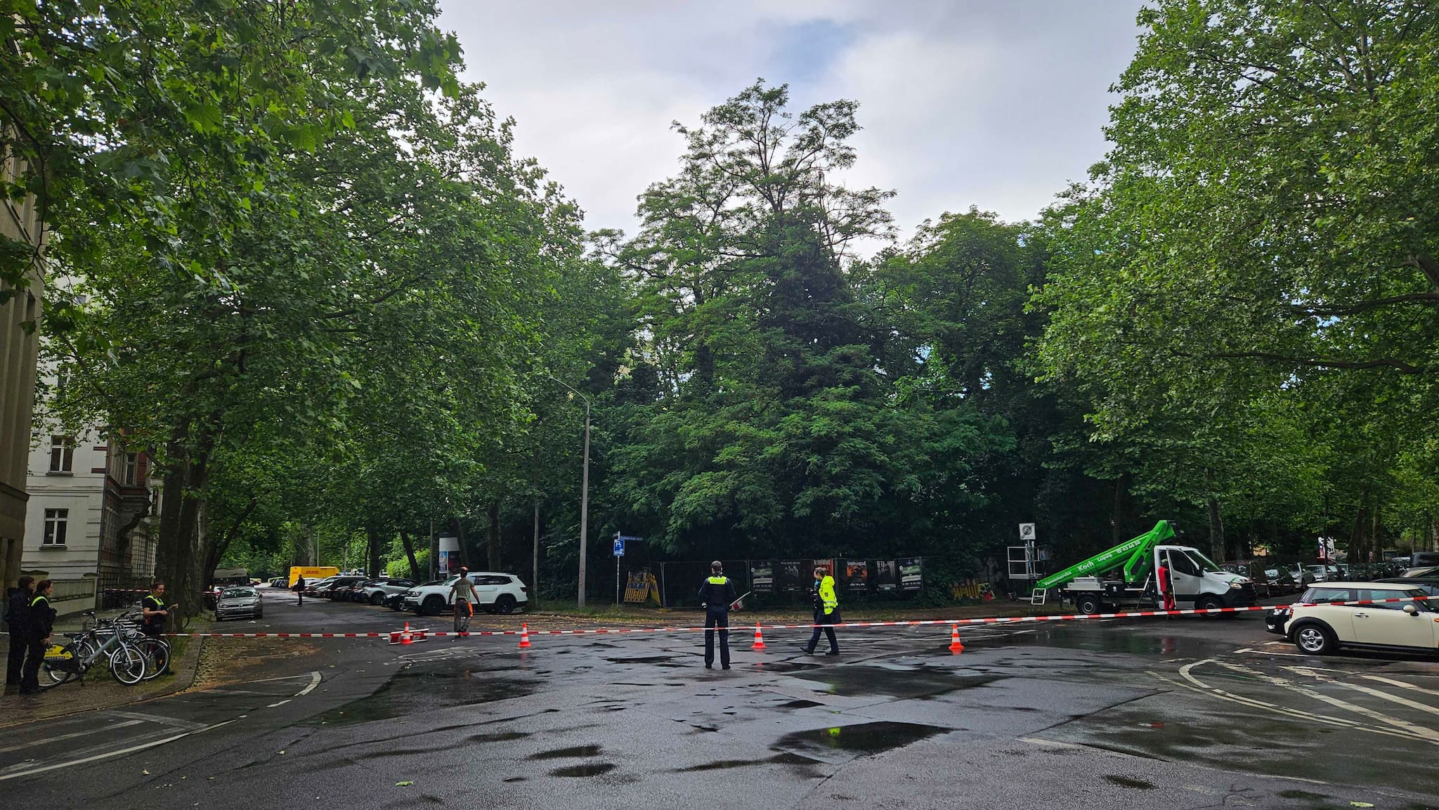 Umstürzender Baum beschädigt Autos im Musikviertel in Leipzig ...