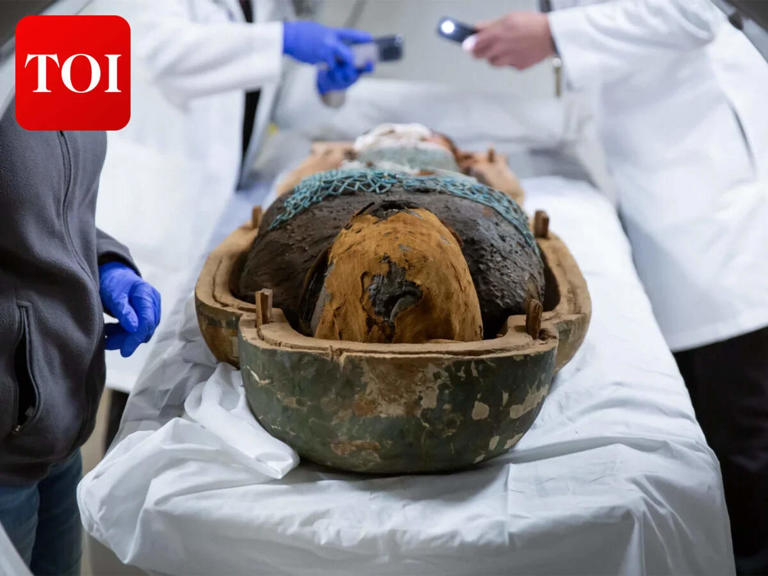 Two Egyptian mummies scanned in LA revealed a possible ancient spinal ...
