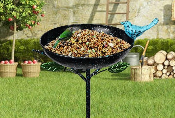 10 top-rated bird baths perfect for every season and species