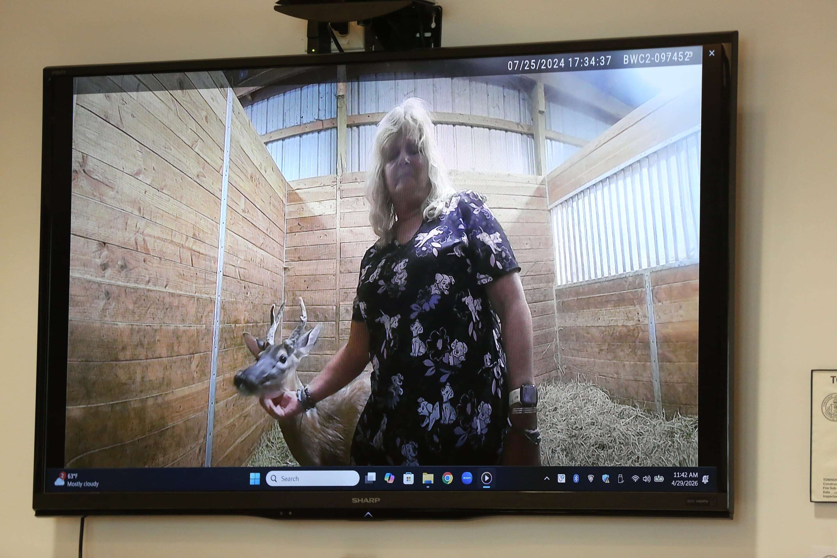 NJ woman guilty of harboring a baby deer she rescued and named Rudy