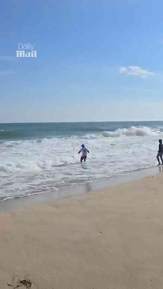 Fisherman reels in massive great white shark