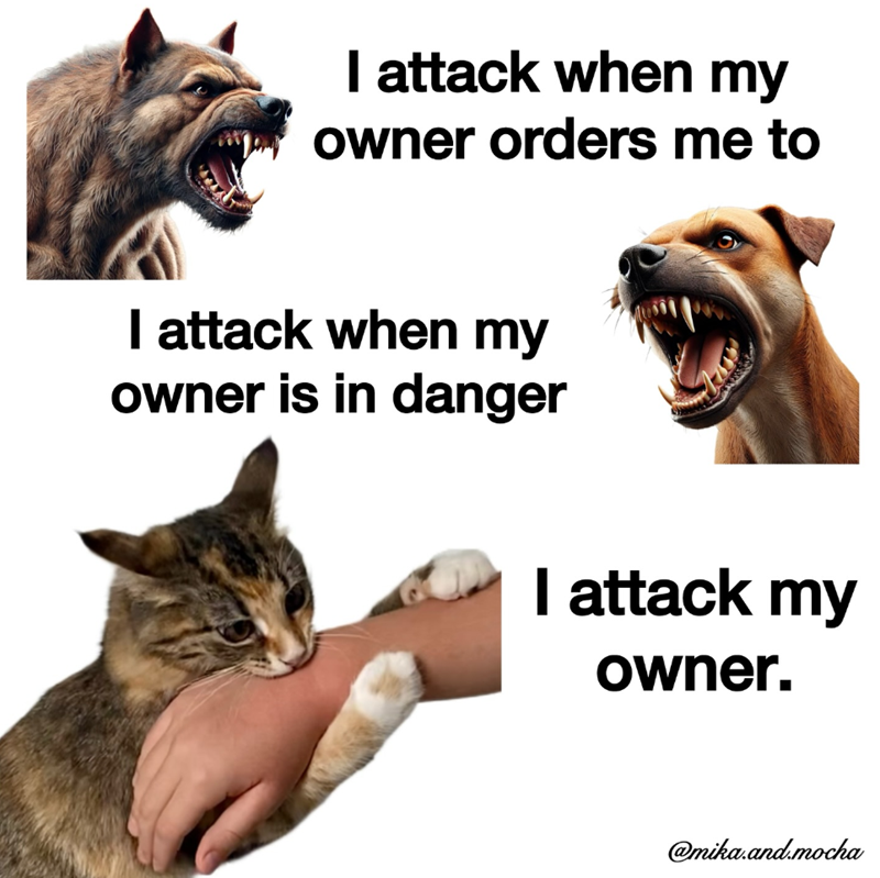 The internet's favorite frenemies star in these 21 cat and dog memes