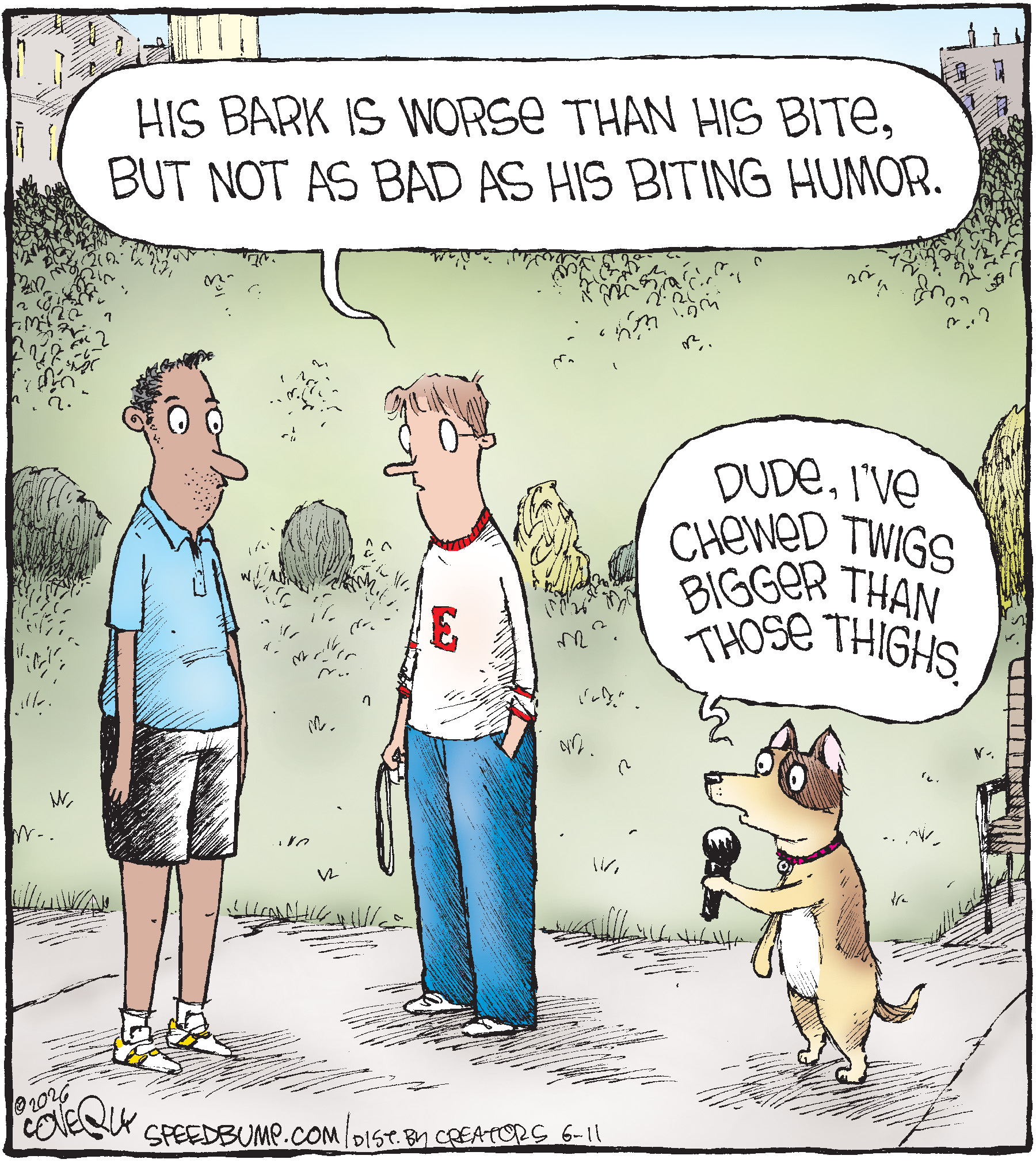 The latest comic strips from the Creators Syndicate (6/11)