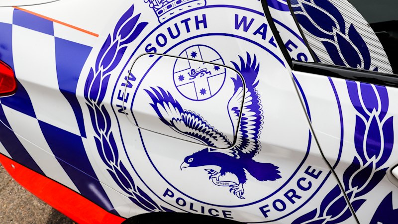 Estranged son allegedly killed mother after arranging meeting at Sydney ...