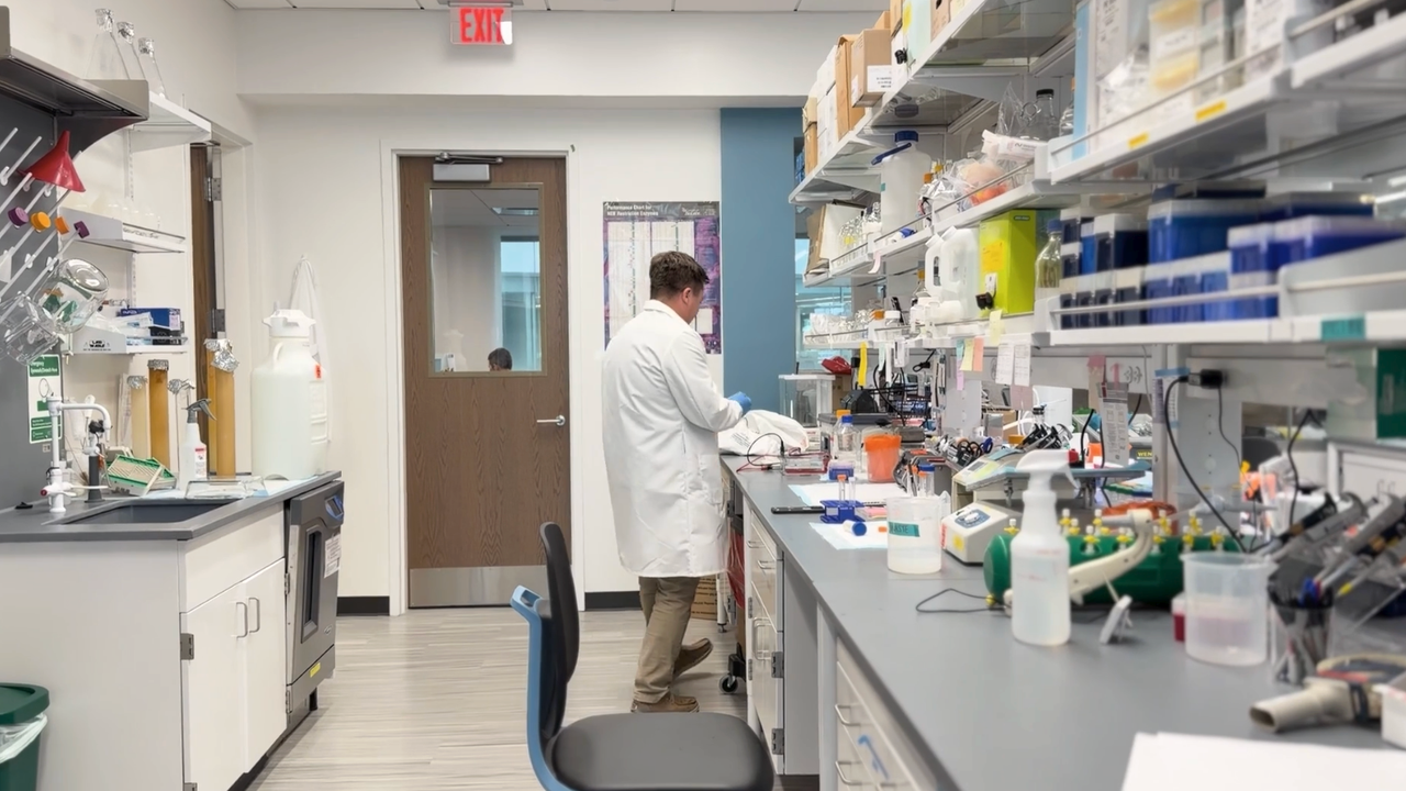 Emory University researchers working to make childhood leukemia ...