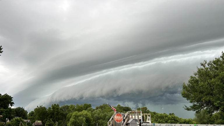 Man killed by falling tree in Des Moines, Iowa, during severe weather ...