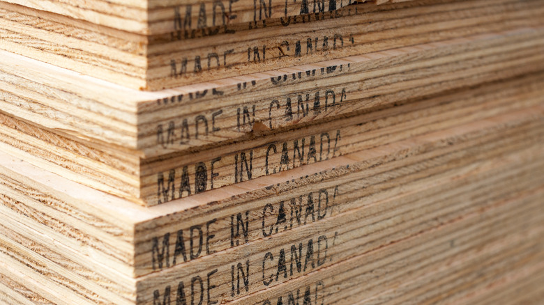 Confused about plywood, MDF, & melamine? We tell you how and when to ...